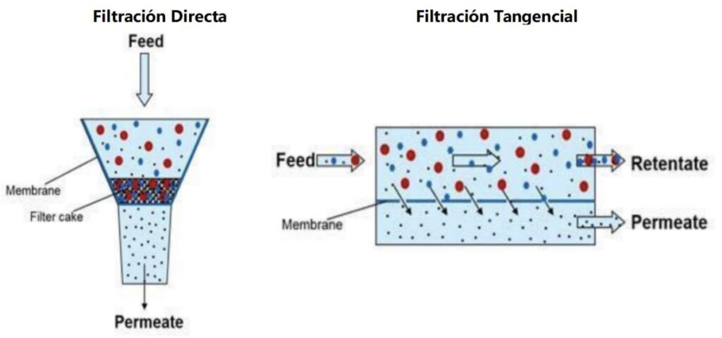 Filtración Tangencial: Innovación en la Purificación de Vino y Más Allá ...